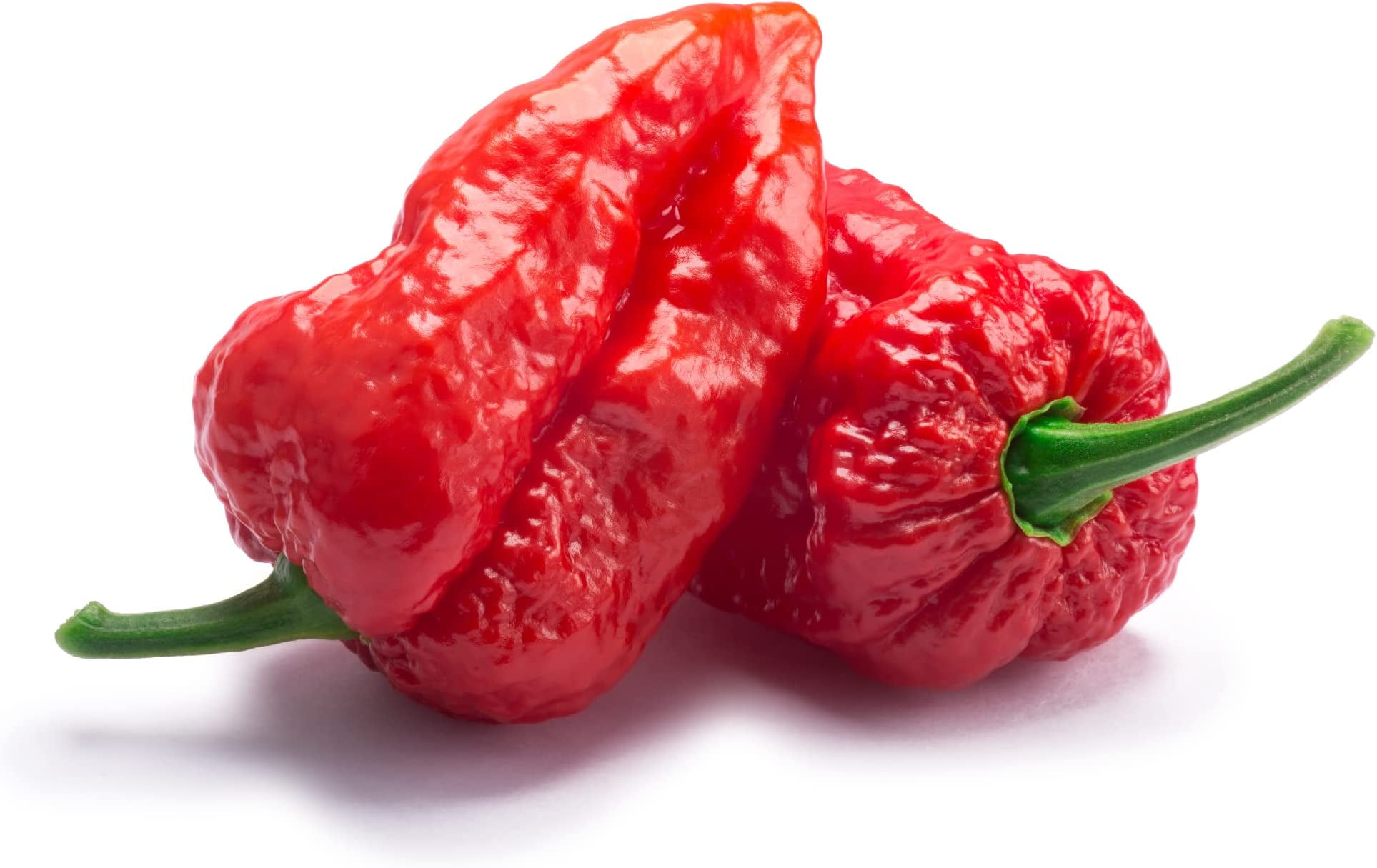 Ghost Pepper Seeds - 30+ "Bhut Jolokia" Pepper Seeds for Planting ...
