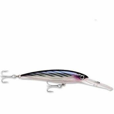 Rapala Floating Magnum 7" Fishing Lure Silver - Walmart.com