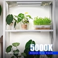 T5 Full Spectrum Grow Lights for Indoor Plants, 5000K LED Plant Lamp ...