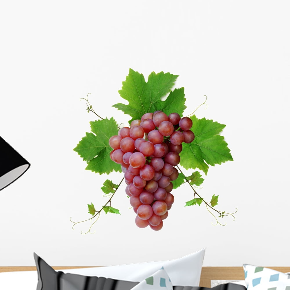 Decorative Pink Wine Grape Wall Decal Sticker, Wallmonkeys Peel & Stick ...