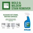 Ecolab 32 Fl. Oz. Mold And Mildew Stain Remover (3-Pack) - Walmart.com