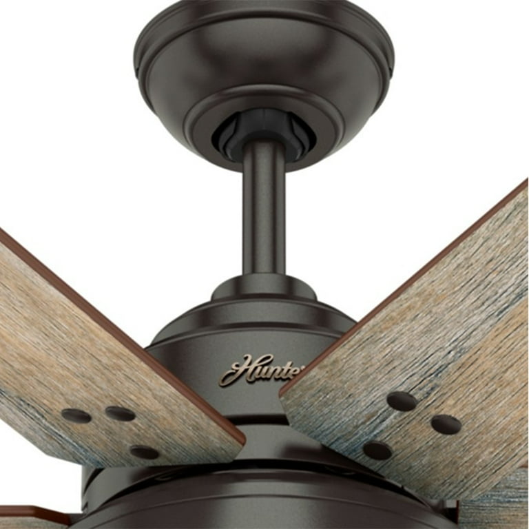 Hunter Castleton 70 Inch Ceiling Fan | Shelly Lighting