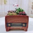 Aymzbd Resin Plant Pot Radio Shape Decoration Cactus Pot Plant Vintage ...