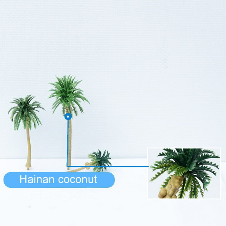 Growing Coconut Trees In California Top 25 Palm Tree Varieties That