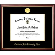 Tulane University 14" x 17" Gold Embossed Diploma Frame - Walmart.com