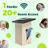 Birdfy Smart Bird Houses for Outside Solar Powered, 1080P HD Live View ...