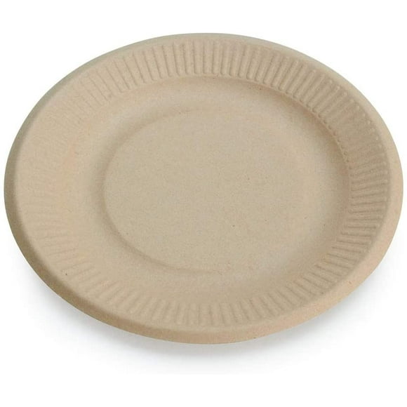 Small Dessert Paper Plates