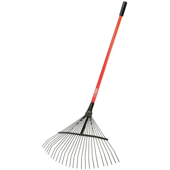 Spring Tine Rake