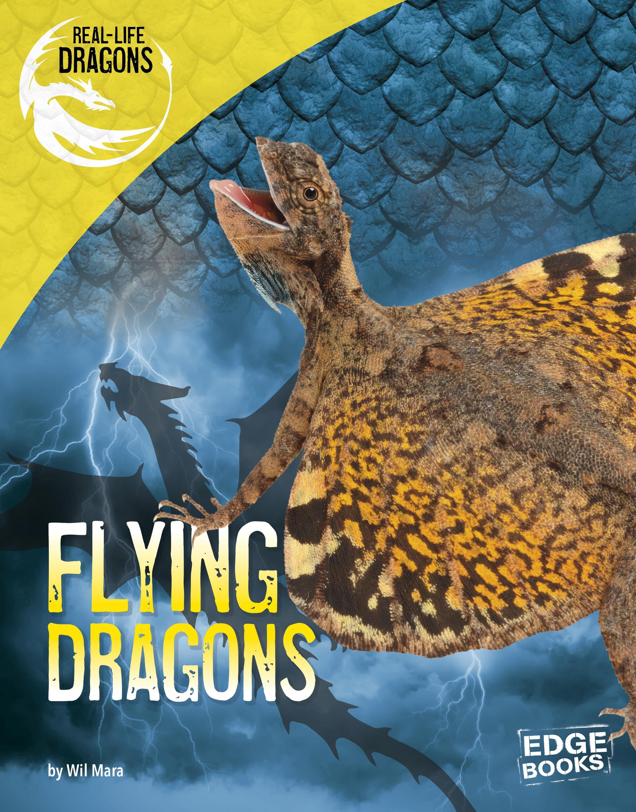 Real-Life Dragons: Flying Dragons (Paperback) - Walmart.com - Walmart.com