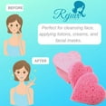 Facial Sponges Compressed Natural Cellulose Sponge for Face Cleansing ...