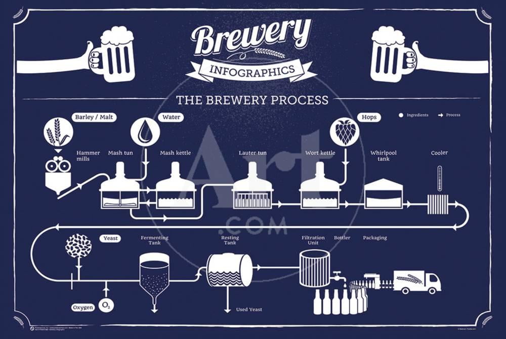 Brewery Infographic Poster 36x24 Sold by Art.Com - Walmart.com