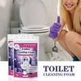 Euaioeiu Foaming Toilet Cleaner Powder,Powerful Stain Remover & Odor ...