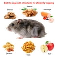 (Huayusheng)--2 Pack Or 1 Pack Options Rat Trap Cage Humane Live Rodent ...