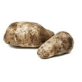 Yam Root Whole Fresh, Each (Name Florido) - Walmart.com