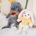 Cute Floppy Ear Bunny Stuffed Animal Set, Soft Fluffy Rabbit Plush Toys ...