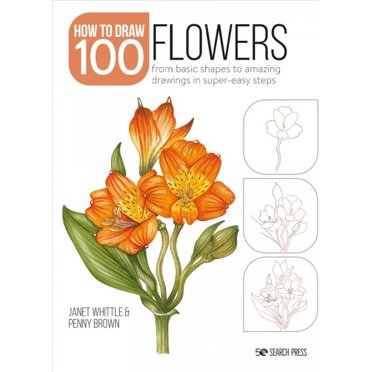 Botanical Drawing: A Step-By-Step Guide to Drawing Flowers, Vegetables ...