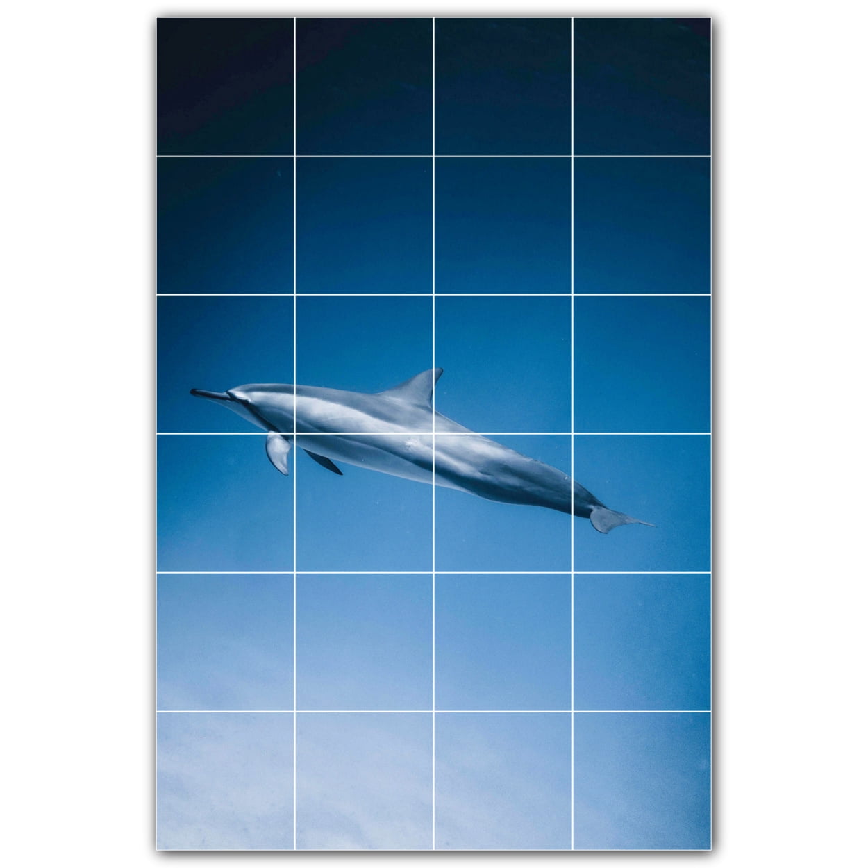Picture-Tiles.com: Dolphin Ceramic Tile Wall Mural WAL500515-46M. 24"W ...