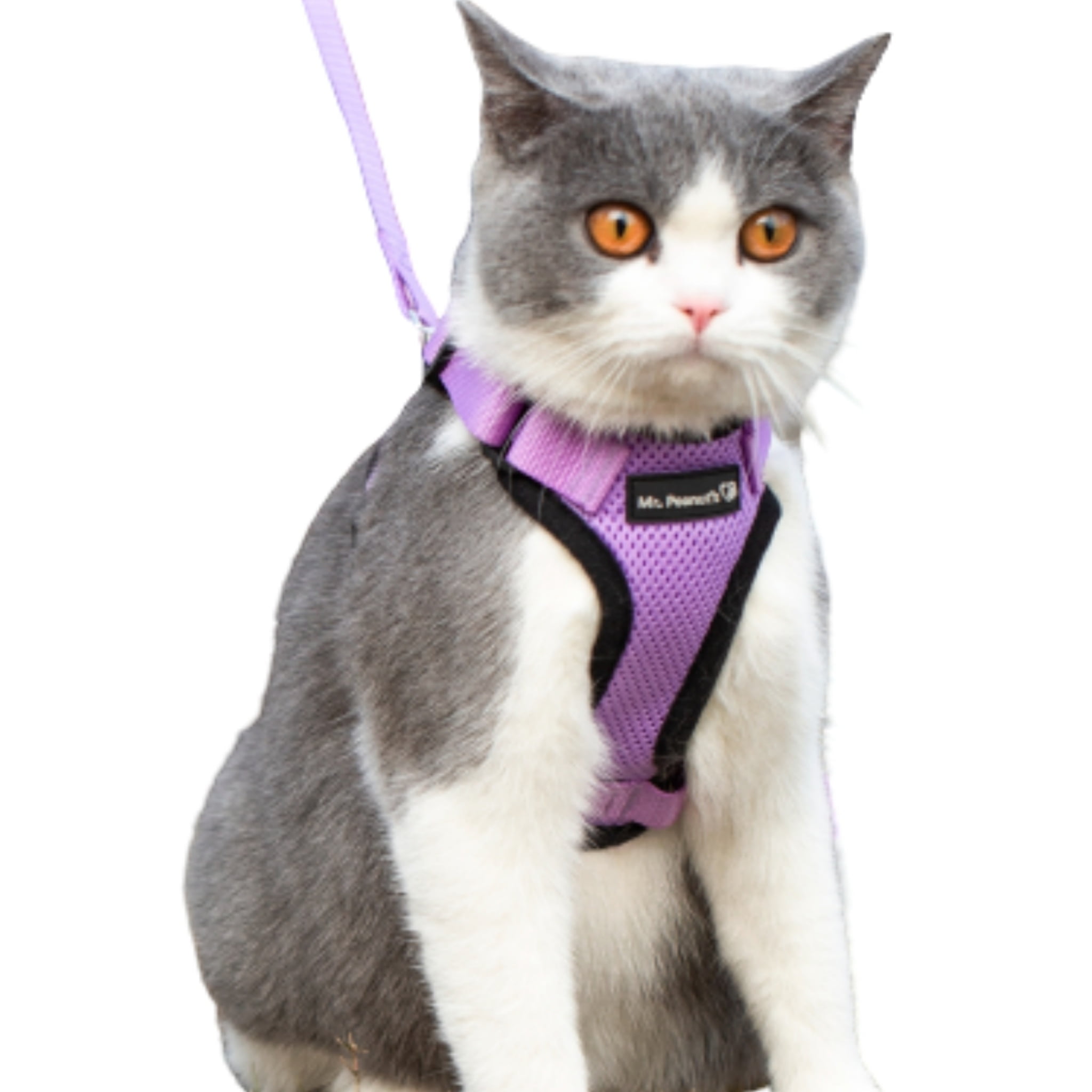 Mr. Peanut's PurrTrek Reflective Cat Harness with Matching Leash ...