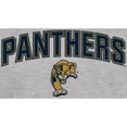 Men's Ash FIU Panthers Proud Mascot T-Shirt - Walmart.com