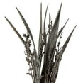Vickerman 36" Gray Wash Bahia Spears with Seeds, 2 pack, Dried ...
