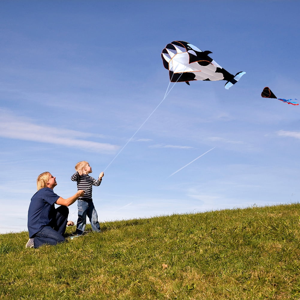 3D Kite Large Dolphin Breeze Beach Kites with Soft Parafoil Giant, Gift ...