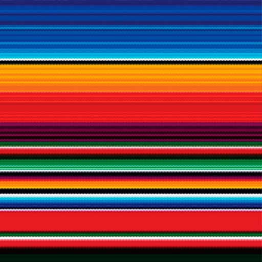 Siser EasyPatterns Plus HTV Iron on Heat Transfer Vinyl 12" x 20ft Roll ...