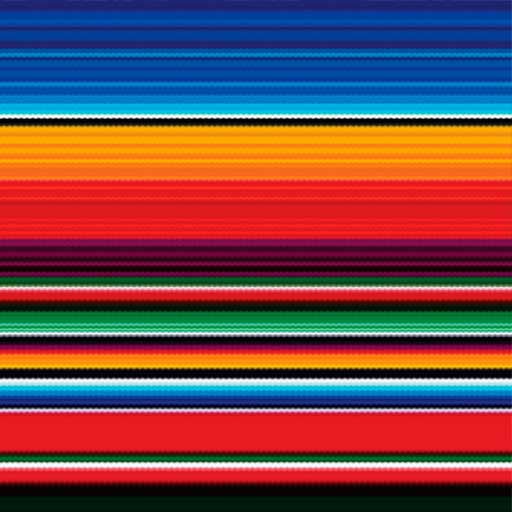 Siser EasyPatterns Plus HTV Iron on Heat Transfer Vinyl 12" x 15ft Roll ...