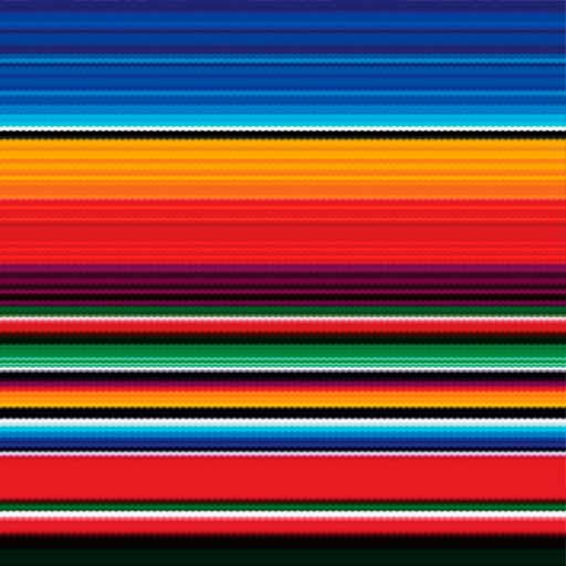 Siser EasyPatterns Plus HTV Iron on Heat Transfer Vinyl 12" x 12" 1 ...