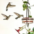 Couronne Co. Sphere Hummingbird Feeder - Outdoor Recycled Glass & Metal ...