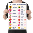 Cut Flower Harvest Chart - Flower Enthusiast - 13x19 Glossy Poster ...