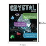 Discovery Crystal Growing Kit, Grow Colorful Crystals, STEM, 12 ...