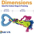 Kats 'N Us Puppy Teething Toys Dog Rope Rubber Chew Toy (1 Pack) Blue - Walmart.com