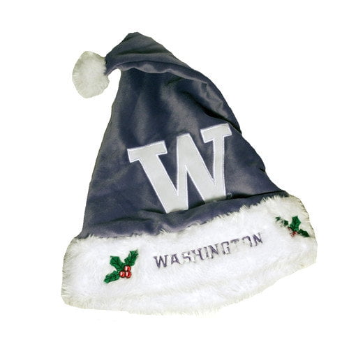 Forever Collectables NCAA Santa Hat, Washington State University ...