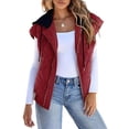 Aellinatey Puffer Vest Women Cropped Hooded Zip Up Quilted Sleeveless ...