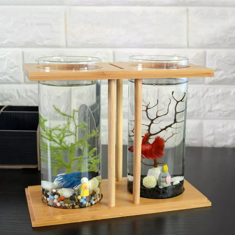 Betta Fish Tanks With Bamboo
