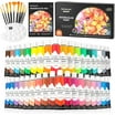 Nicpro 100-Color Watercolor Paint Set with Metallic, Squirrel Brushes ...