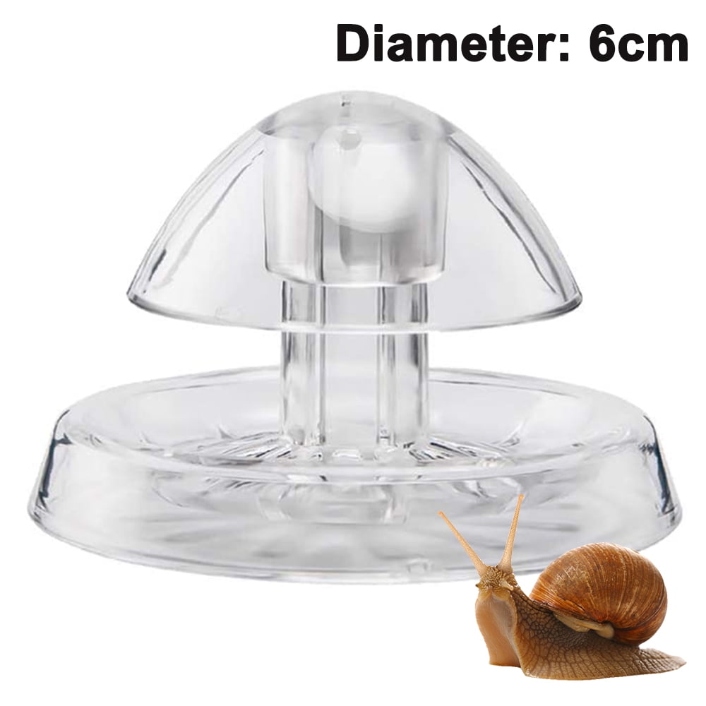 Snail Catcher Aquarium Snail Trap Plants Planarian Pest Catch Box for ...