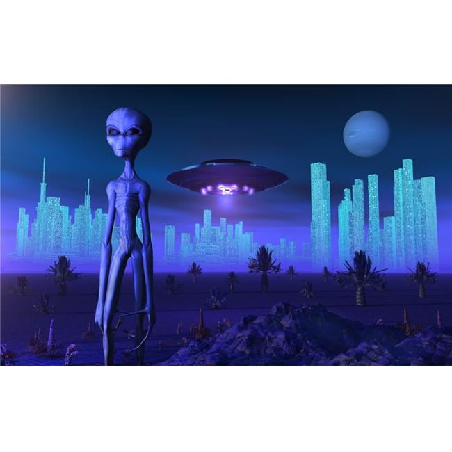 A Grey Alien Located On Its Homeworld of Zeta Reticuli Poster Print, 18 ...