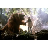 Labyrinth (DVD) - Fantasy Adventure Movie Featuring David Bowie and ...