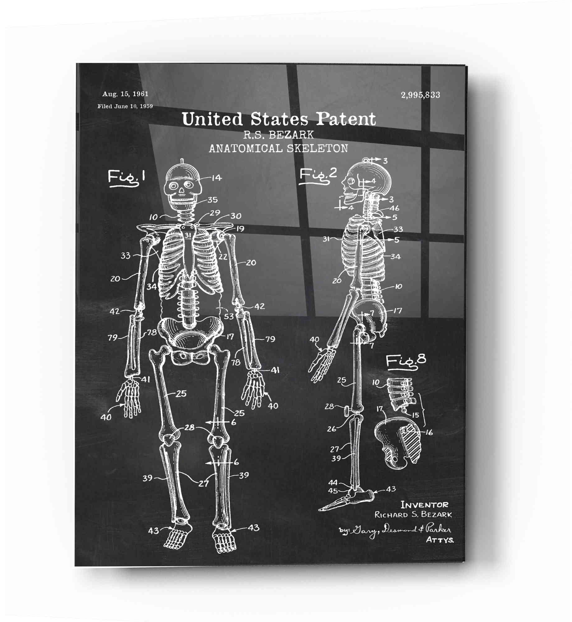 Epic Art 'Anatomical Skeleton Blueprint Patent Chalkboard' Acrylic ...