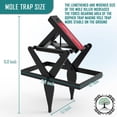 Mole Traps, Black Galvanized Steel Scissor Trap, Reusable Gopher Traps ...