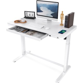FEZIBO 48 x 24 Inches Adjustable Height Electric Standing Desk with ...