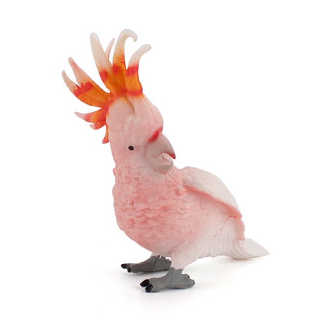 Skindy Clear Texture PVC Wild Parrot Model Figures - Educational Toy ...