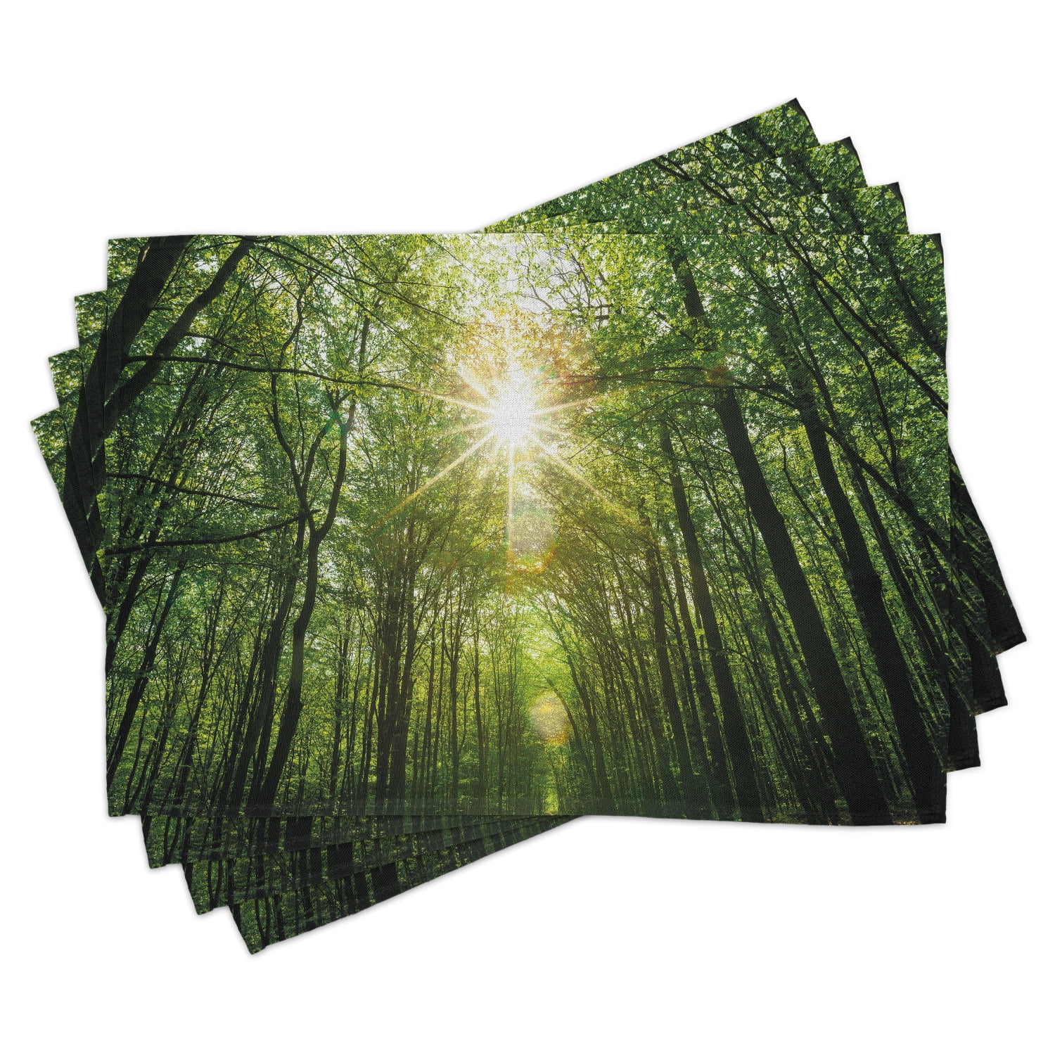 Ambesonne Forest Place Mats Set of 4, Summer Trees Upward View ...