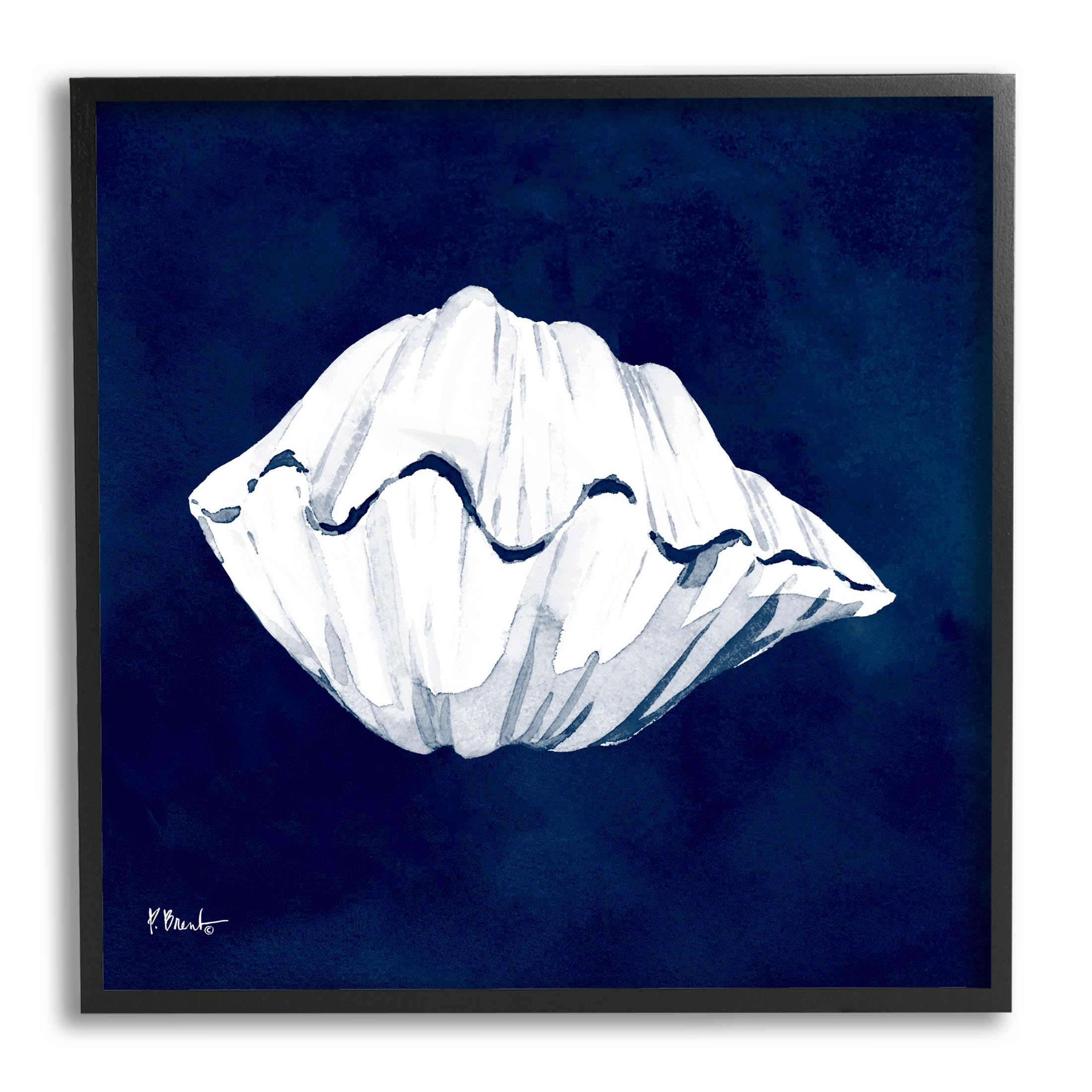 Stupell Industries Cyanotype Shells Coastal Clam Graphic Art Black ...