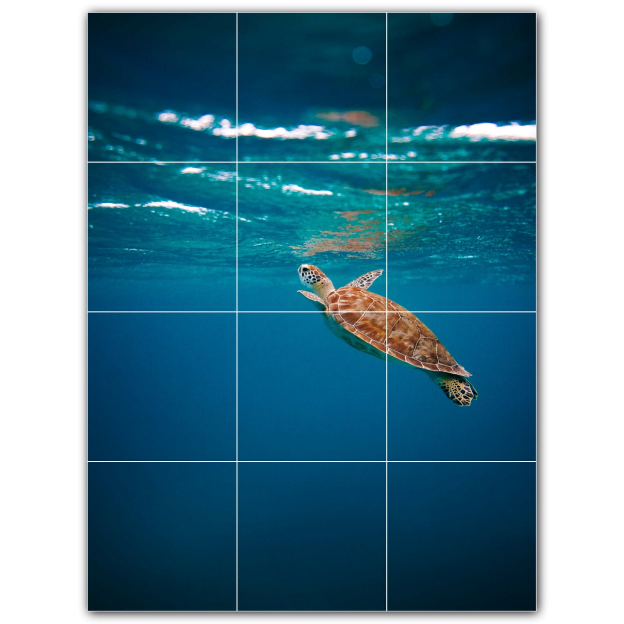 Picture-Tiles.com: Turtle Ceramic Tile Wall Mural WAL501052-34XL. 36"W ...