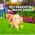 Simple Solution Dog/Puppy Outdoor Potty Training Pee Post - 13in. Stake ...