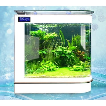 124Gal LED Aquarium Kit - Luxury Large Glass Fish Tank - Ideal for ...