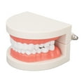 2024 Dental Disease Caries Teeth Model Resin Simulation Teaching Prop ... 2024 Dental Disease Caries Teeth Model Resin Simulation Teaching Prop ...