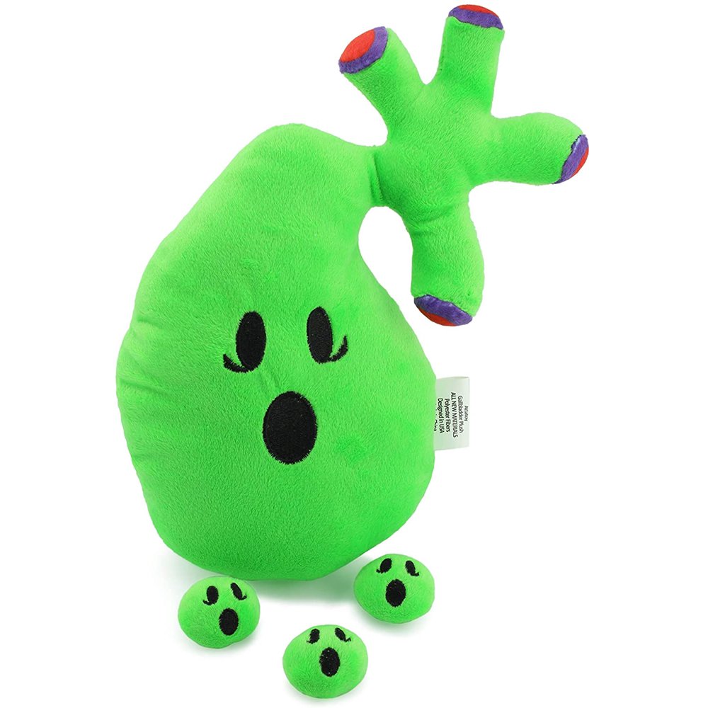 Attatoy Gallbladder Plush, Body Organ Stuffed Toy Complete with ...
